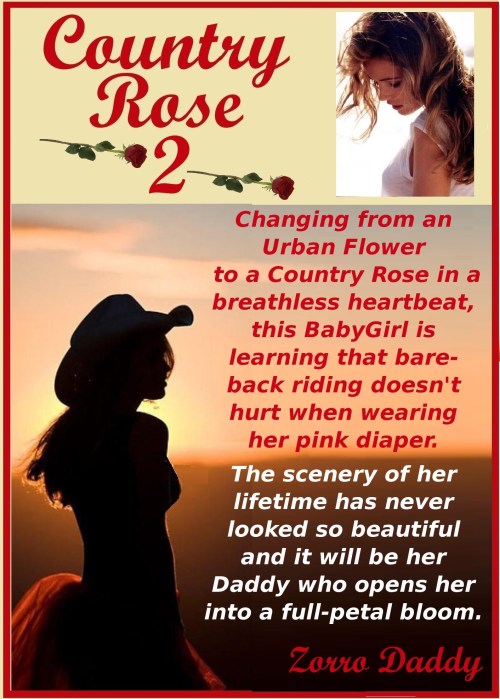 The Country Rose Series | zorrodaddy.com